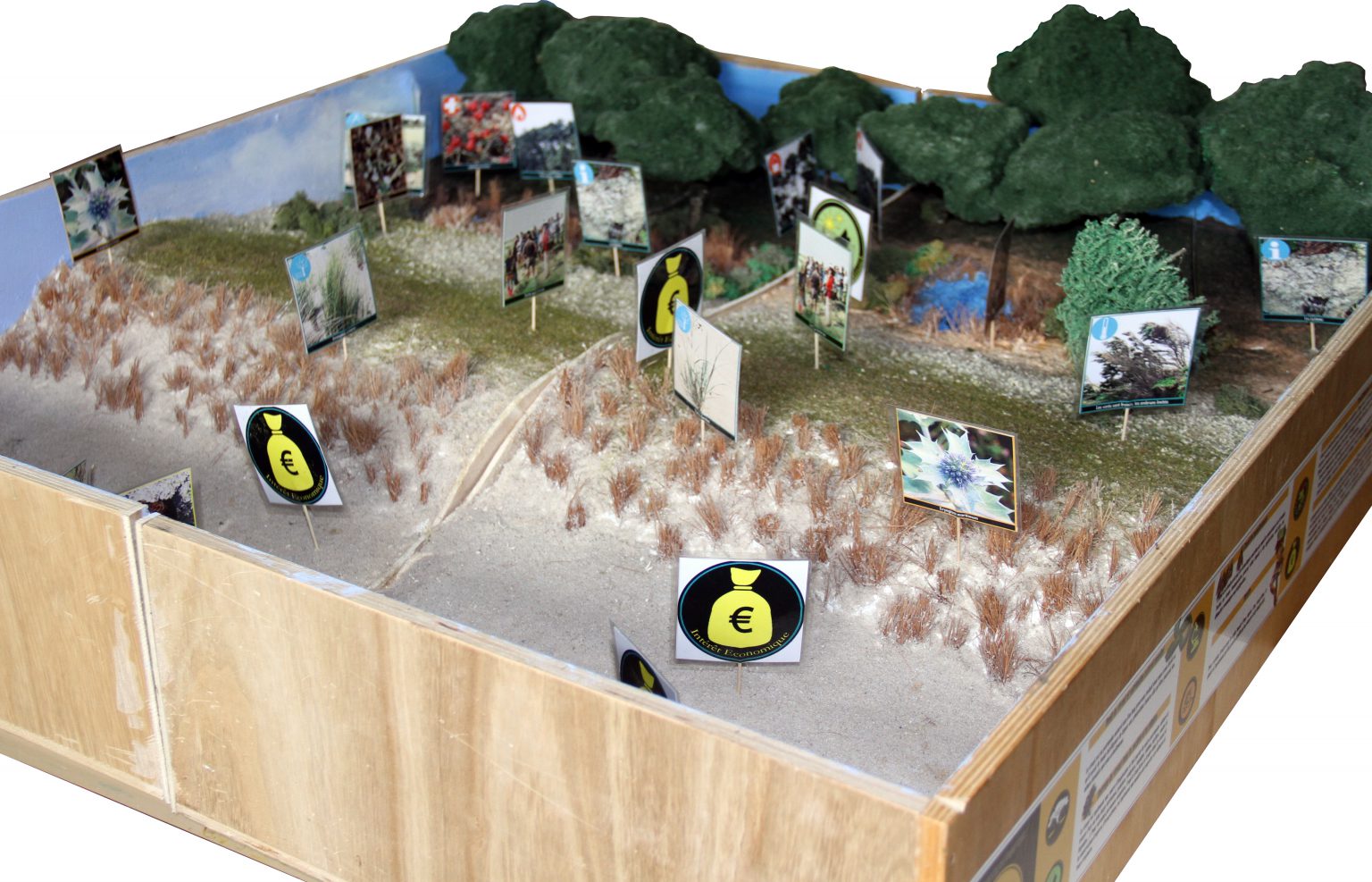 Activités pédagogiques autour de la biodiversité – Projet-Biodiv