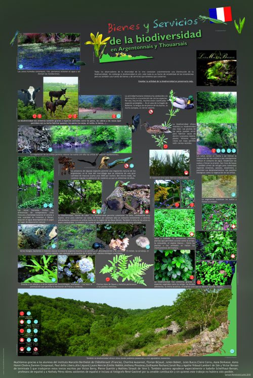 Activités pédagogiques autour de la biodiversité – Projet-Biodiv