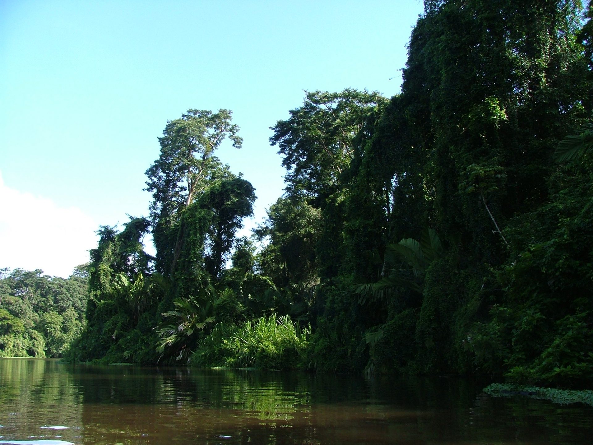 Costa-Rica – Projet-Biodiv