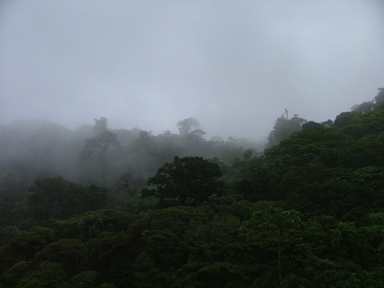 Costa-Rica – Projet-Biodiv