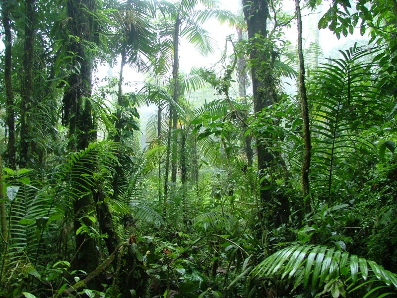 Costa-Rica – Projet-Biodiv