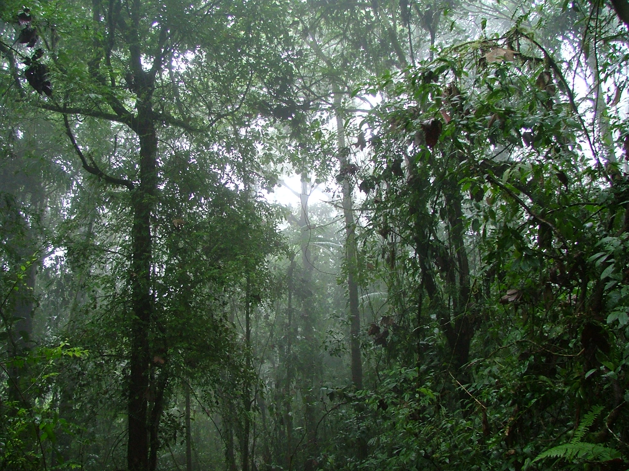 Costa-Rica – Projet-Biodiv