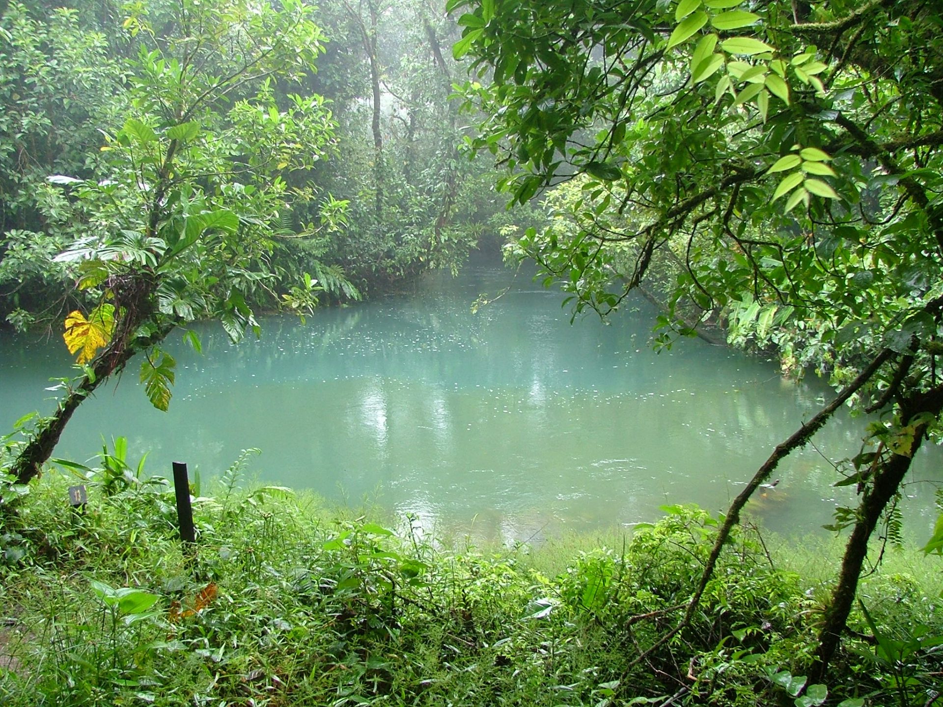 Costa-Rica – Projet-Biodiv