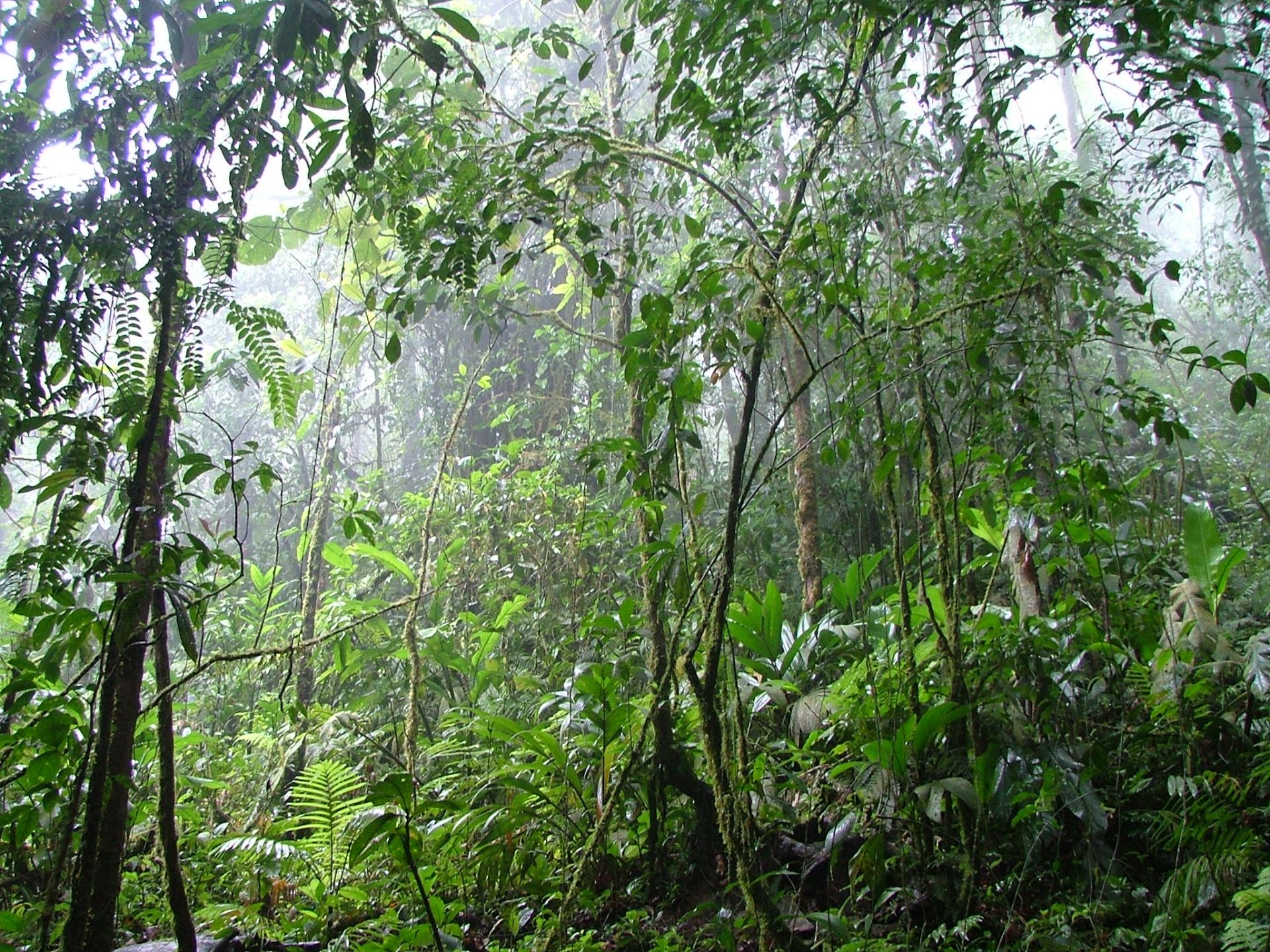 Costa-Rica – Projet-Biodiv