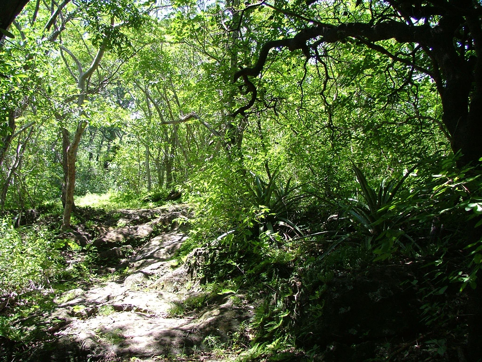 Costa-Rica – Projet-Biodiv