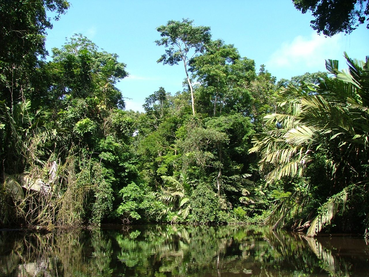 Costa-Rica – Projet-Biodiv