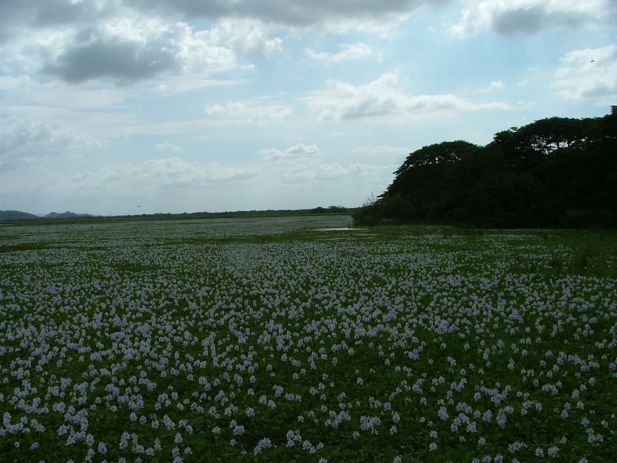 Costa-Rica – Projet-Biodiv