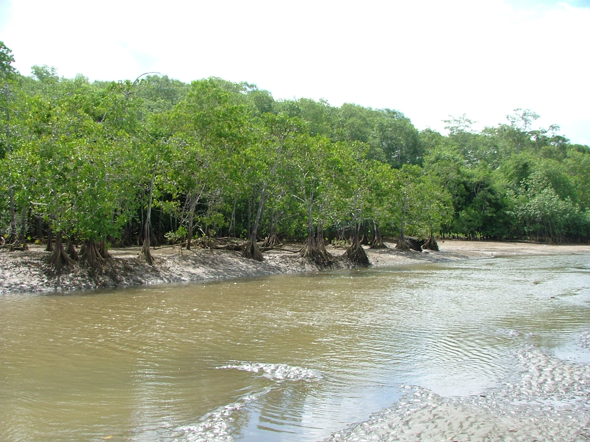 Costa-Rica – Projet-Biodiv