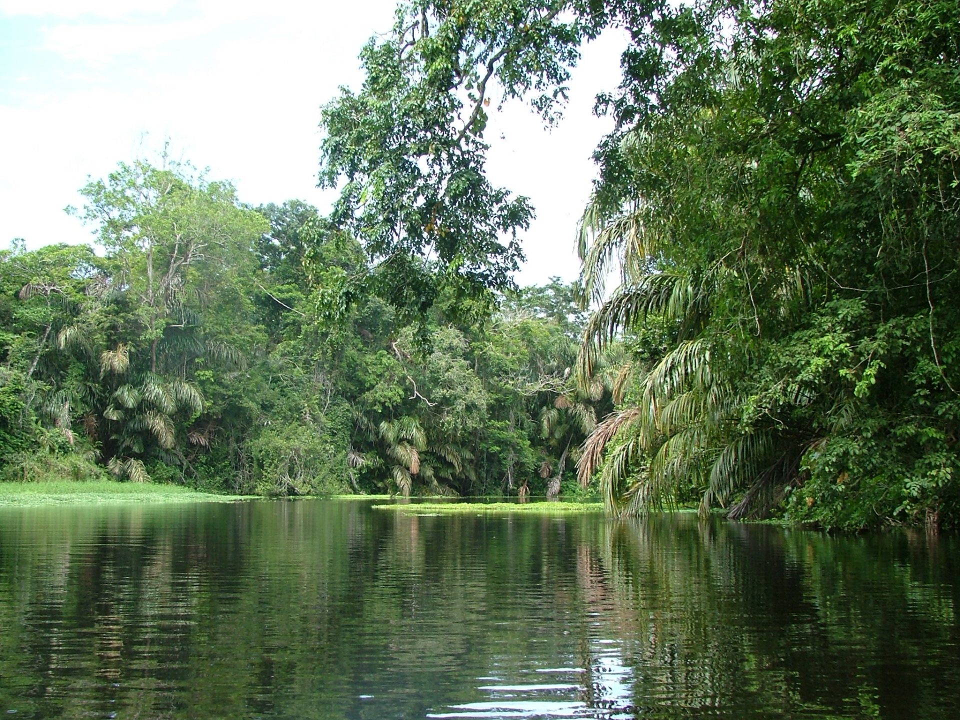 Costa-Rica – Projet-Biodiv